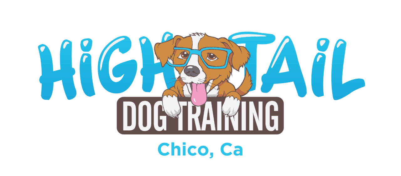 High Tail Dog Training | Chico Dog Training Experts