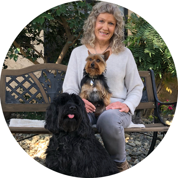 Team – High Tail Dog Training